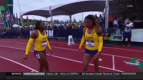 Track And Field Animations