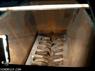 Laptops Shredders GIF by Cheezburger - Find & Share on GIPHY