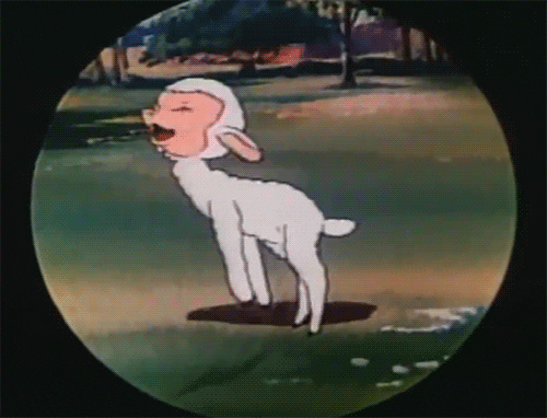 Sheep-meadow GIFs - Get the best GIF on GIPHY