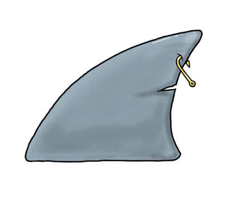 Shark Fin Animated Gif