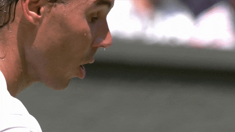 Tennis Sweat GIF by Wimbledon - Find & Share on GIPHY