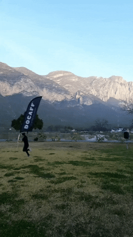 Flag Running GIF by docaff - Find & Share on GIPHY