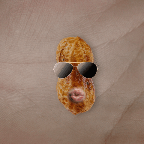 Cacahuetes GIFs - Get the best GIF on GIPHY
