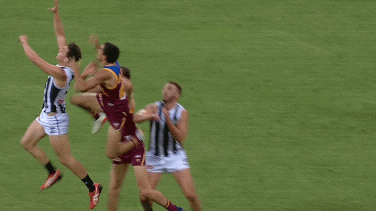 Football Afl GIF by CollingwoodFC - Find & Share on GIPHY