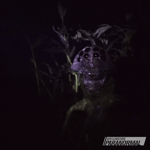 Alien-crop GIFs - Get the best GIF on GIPHY