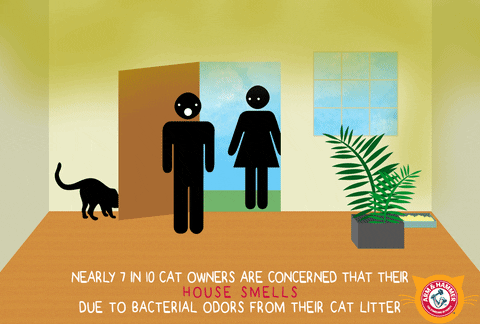 Cat-litter GIFs - Get the best GIF on GIPHY