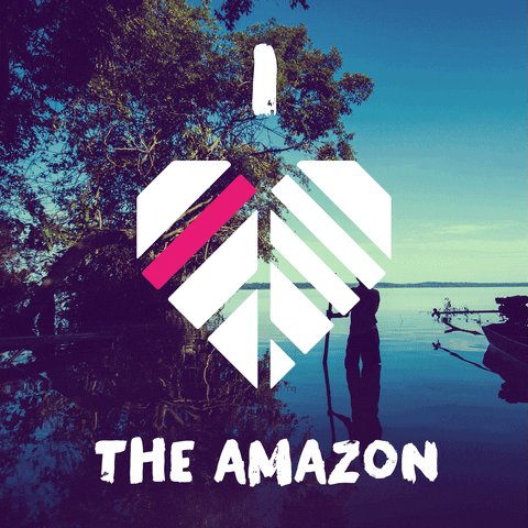 Amazon-basin GIFs - Get the best GIF on GIPHY