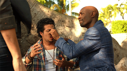 Gotcha-nose GIFs - Get the best GIF on GIPHY