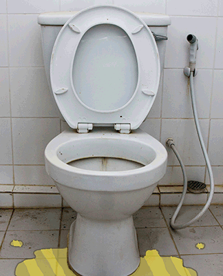 Clog Shark Week GIF by lilcozynostril - Find & Share on GIPHY