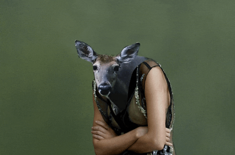 Deer Ears GIFs - Get the best GIF on GIPHY