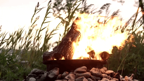 Camp Fire Bonfire GIF by Vanessa Marie Carter - Find & Share on GIPHY