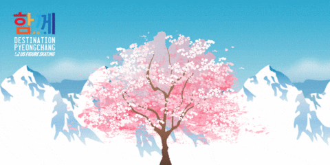 Destination Pyeongchang GIFs - Get the best GIF on GIPHY