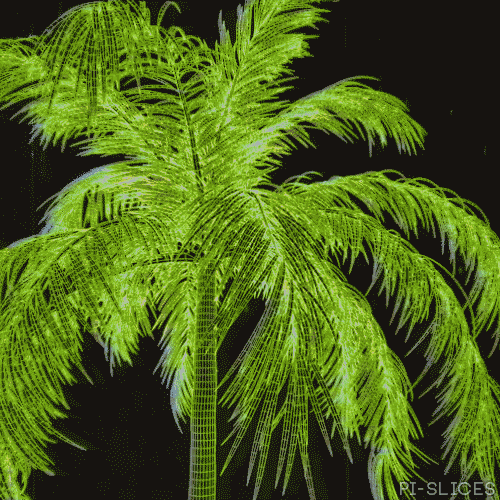 Palm Tree GIF by Pi-Slices - Find & Share on GIPHY