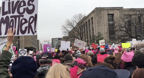 Washington Dc GIF by Suze Perlov - Find & Share on GIPHY