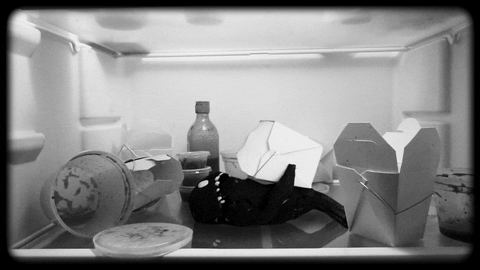 Full Af GIFs - Get the best GIF on GIPHY