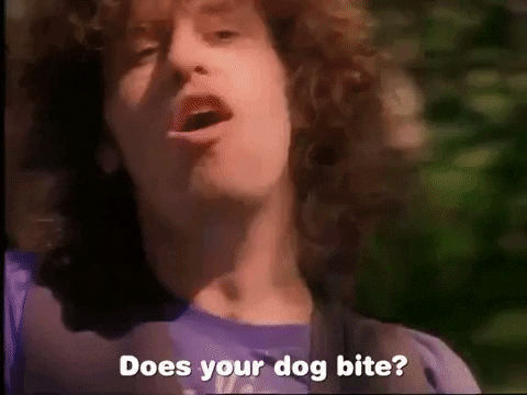 Dog-bites GIFs - Get the best GIF on GIPHY
