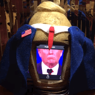 Donald Trump Potato GIF by Jess - Find & Share on GIPHY