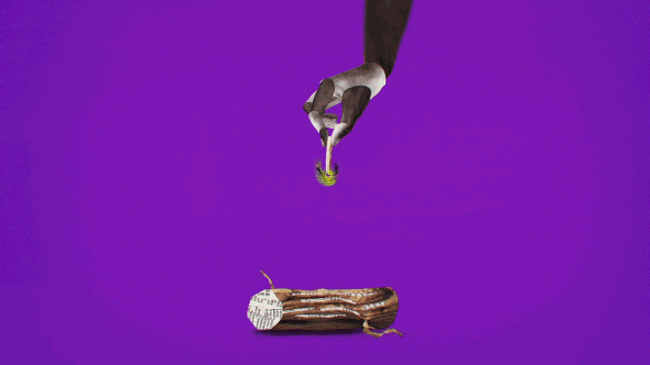 Handy Log GIFs - Get the best GIF on GIPHY