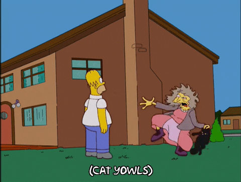 Cat Lady Simpsons GIFs - Get the best GIF on GIPHY