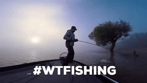 Wtfish GIFs - Get the best GIF on GIPHY
