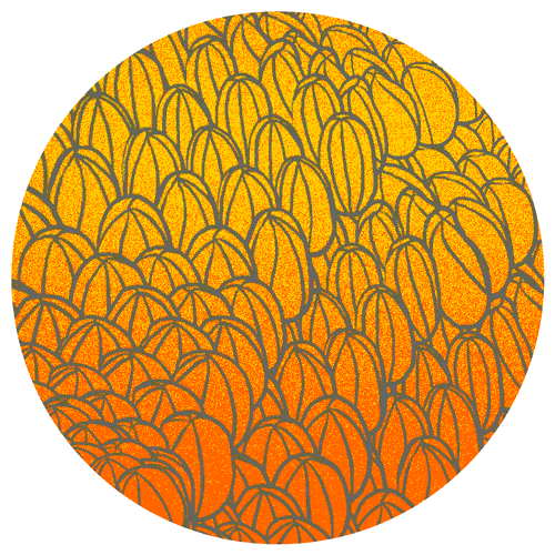 Aimation GIFs - Get the best GIF on GIPHY