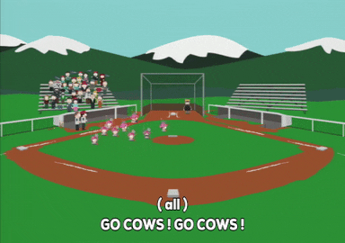 Baseball Field GIFs - Get the best GIF on GIPHY