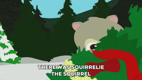 Squirrely The Squirrel GIFs - Get the best GIF on GIPHY