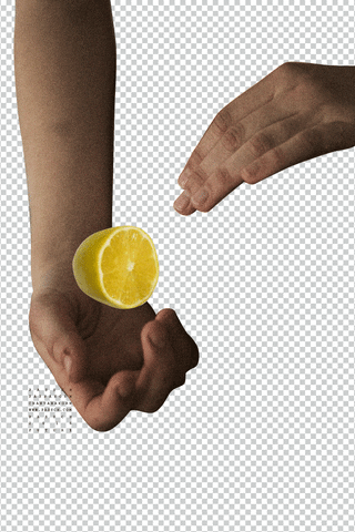 Lemon GIFs - Find & Share on GIPHY