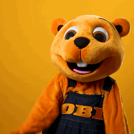 Victory Sieg GIF by OBI Baumarkt - Find & Share on GIPHY