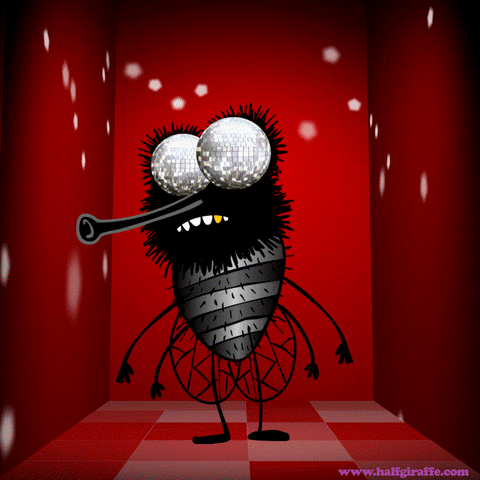 Housefly GIFs - Get the best GIF on GIPHY