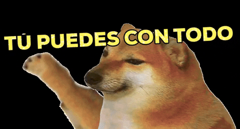 Cheemsmeme GIF by Revicheems - Find & Share on GIPHY