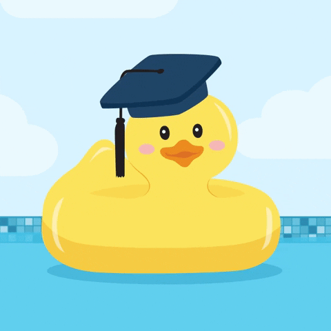 Pool Graduation GIFs - Get the best GIF on GIPHY