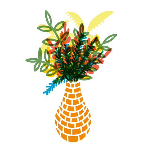 Prantas GIFs - Get the best GIF on GIPHY