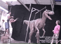 Velociraptor Gifs On Giphy Velociraptor Stickers Find & Share On