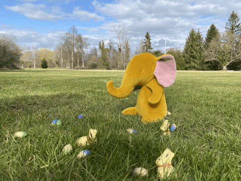 Easter-elephants GIFs - Get the best GIF on GIPHY