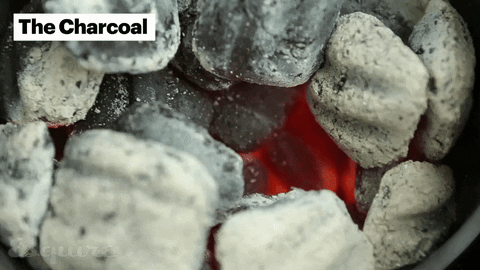 Birthday Bbq GIFs - Get the best GIF on GIPHY