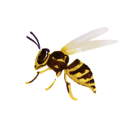 Fly Bug Animated Gif