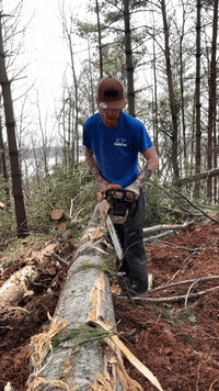 Chopping Wood Gif