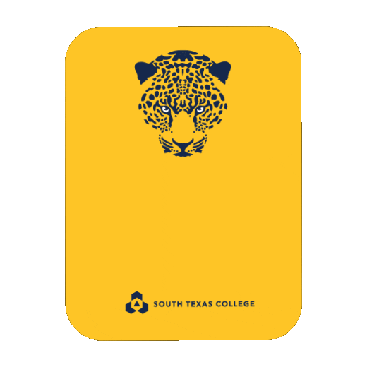 It's Time to Roar - 2024 GIFs on GIPHY - Be Animated