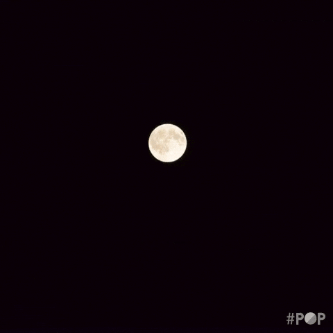 Full Moon GIF by GoPop - Find & Share on GIPHY