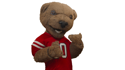 Cornell University Touchdown Sticker for iOS & Android | GIPHY