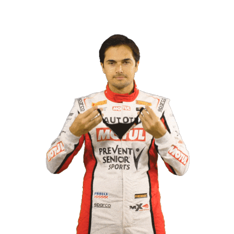 Nelson Piquet Jr GIFs on GIPHY - Be Animated