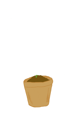 Plant Grow GIF by Bare Tree Media - Find & Share on GIPHY