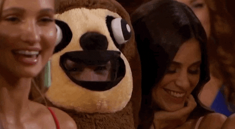 Every GIF of the Sloth from "The Bachelor" by Entertainment GIFs | GIPHY