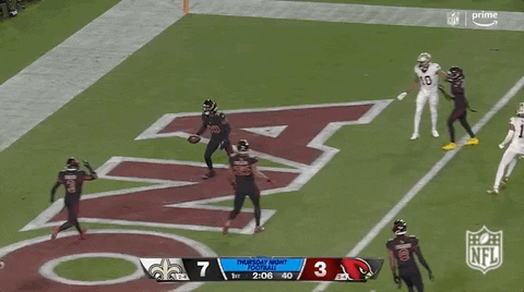 Arizona Cardinals Football GIF by NFL - Find & Share on GIPHY