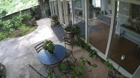 Windows Has Crashed GIFs - Get the best GIF on GIPHY