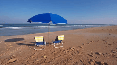 Palm Coast GIFs - Get the best GIF on GIPHY