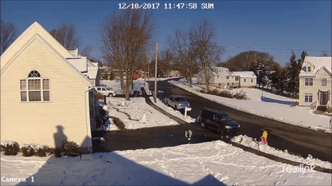 Reolink GIFs on GIPHY - Be Animated