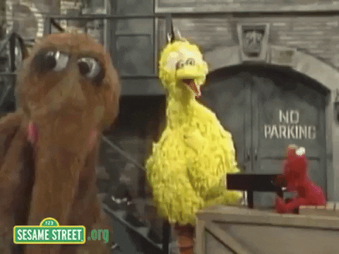 Big Bird GIF by Sesame Street - Find & Share on GIPHY