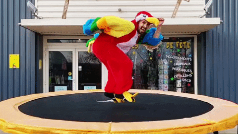 Peroke GIFs - Get the best GIF on GIPHY